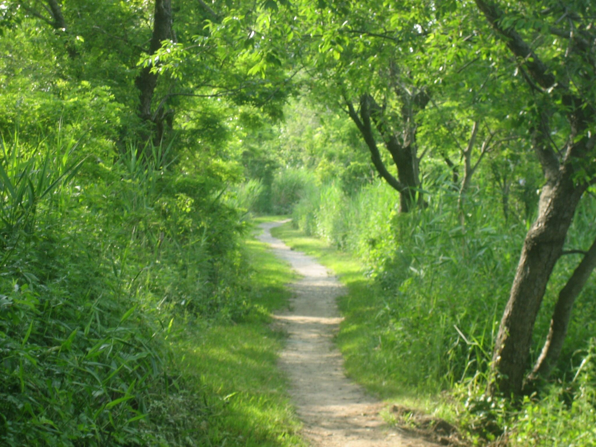 Observer Ethical Awards 2014: a look inside the 'green Oscars' - Blue ...