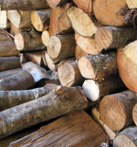 Wood heat industry gets new trade body - Blue and Green Tomorrow