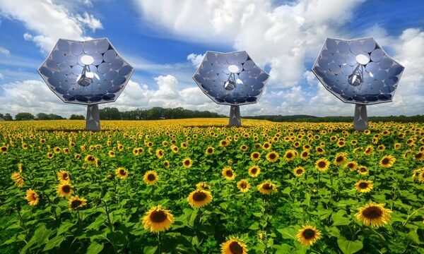 IBM’s ‘sunflower’ device to improve efficiency of solar technology ...
