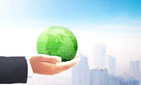 10 Best Charities for Environmental Activists to Donate to