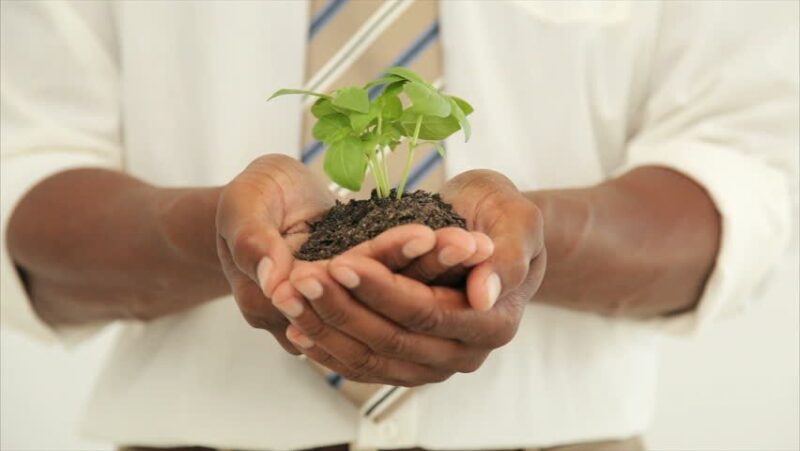 5 Surprising business benefits of going green in USA - Blue and Green ...