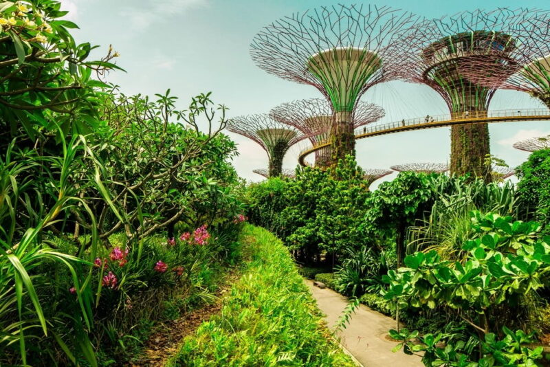 The Eco-Friendly Family's Guide to Green Traveling