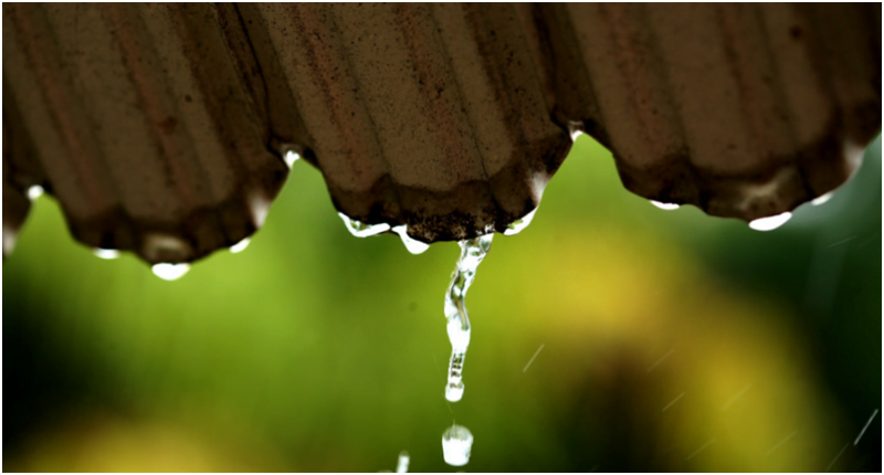 Why Rainwater Harvesting Is Now An Environmental Necessity