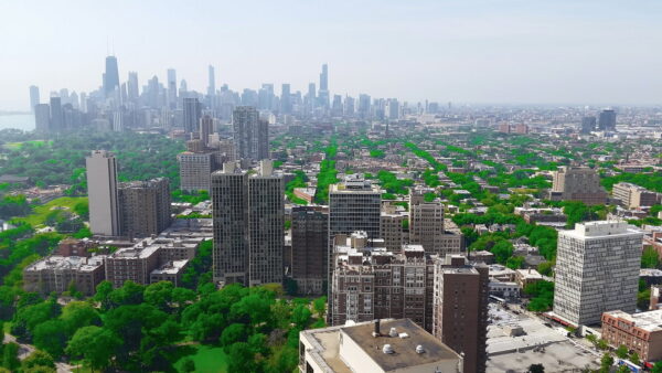 How To Help Make The World A Greener, Better Place