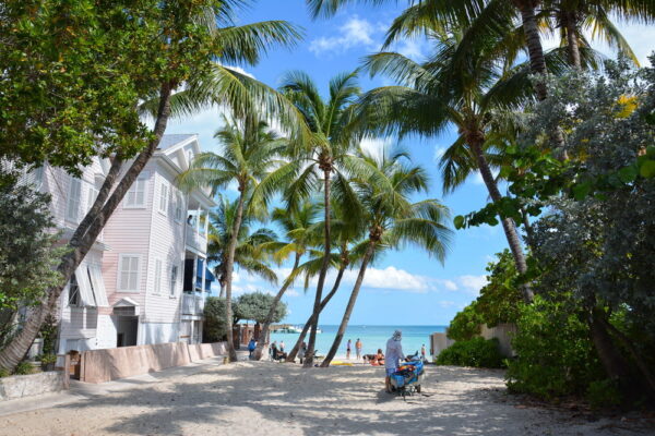 Environmental Benefits of Living in Miami. Why Is It Worth Moving There?