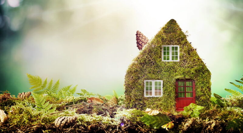Exactly What are the Benefits of an Eco-Friendly Home?