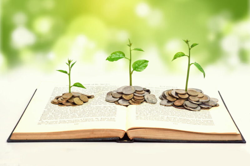 Expert Approved Eco-Friendly Financial Options To Get On Track