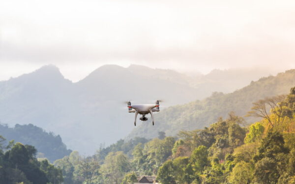 How Drones Are Saving Our Forests And Making A Difference