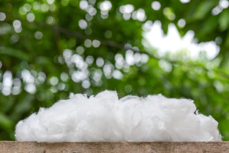 The Terrifying Effects of Polyester on the Environment and Our Health