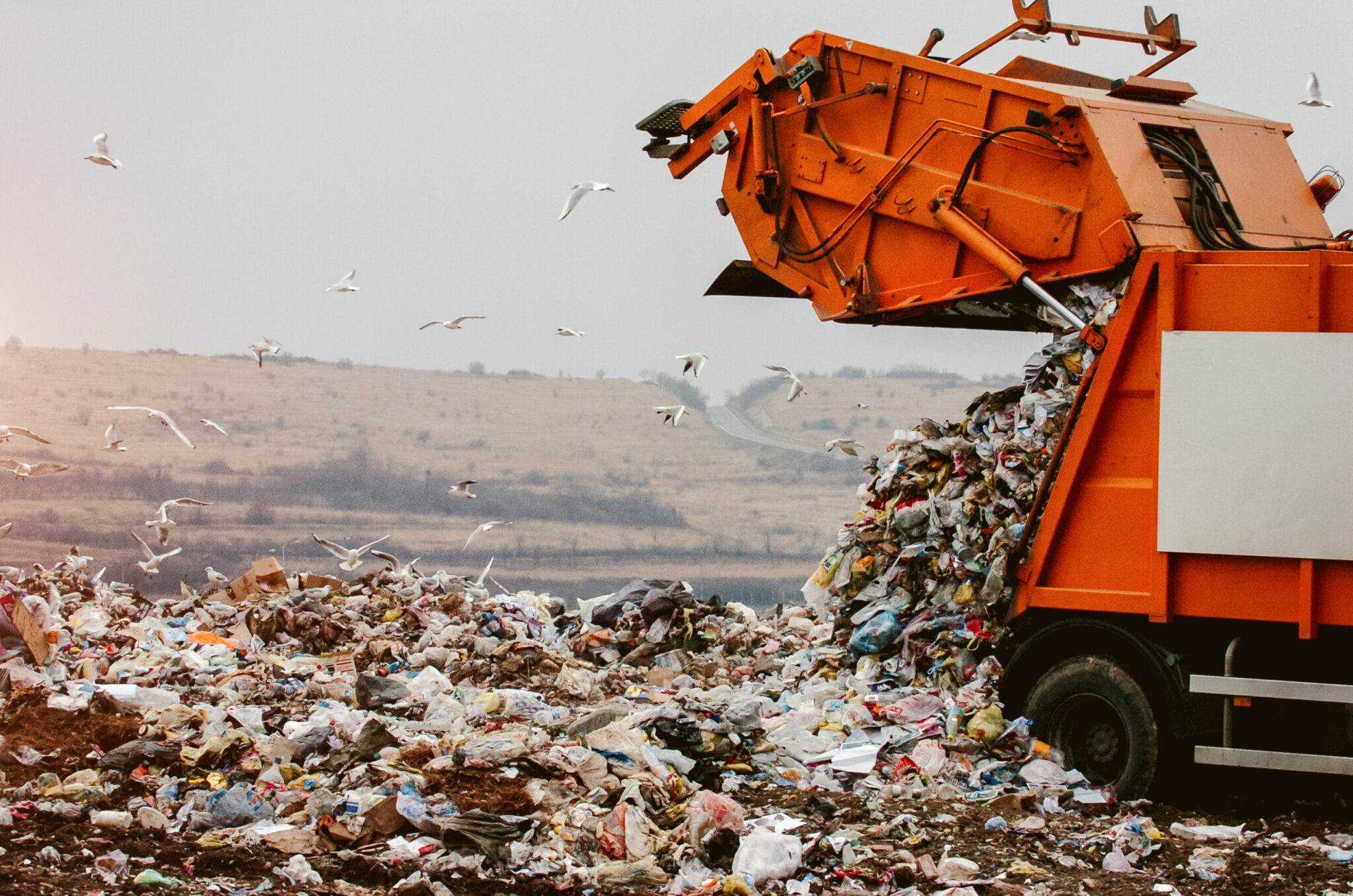 Why You Need to Choose a Waste Management Solution