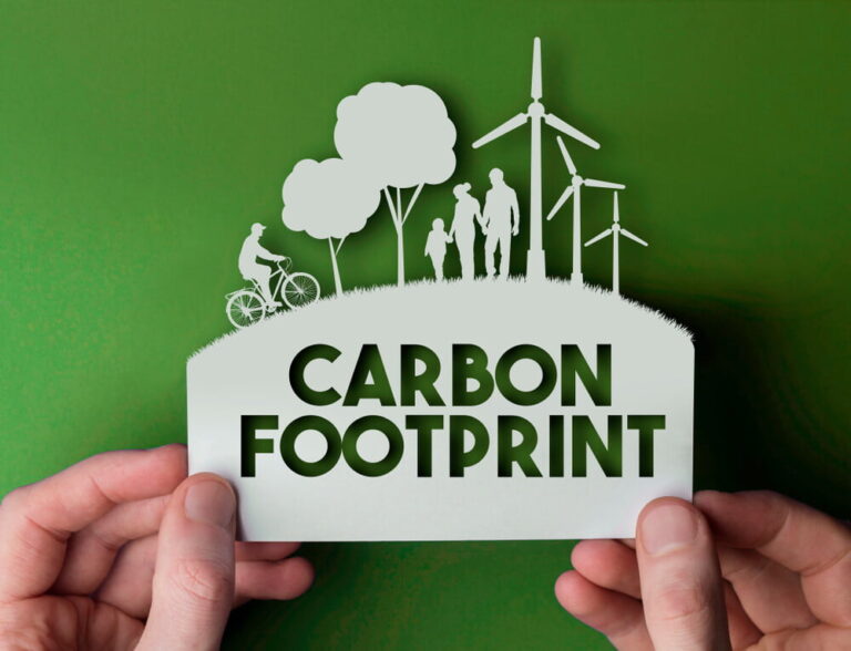 Eco-Friendly Solutions for a Lower Carbon Footprint
