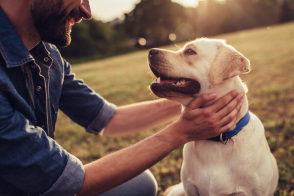 Sustainable Dog Owner Tips for Eco-friendly Living