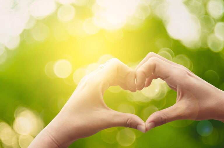 Live a Green Lifestyle and Do Your Part to Help Save the Planet