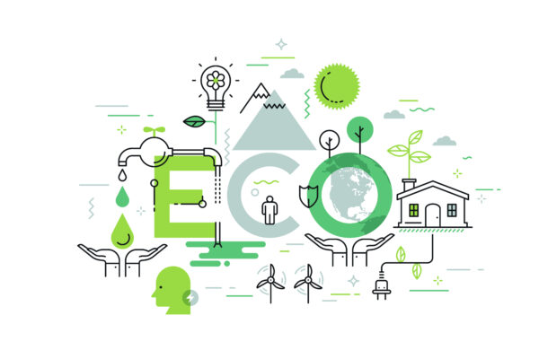 4 Great Business Ideas for Eco-Friendly Entrepreneurs