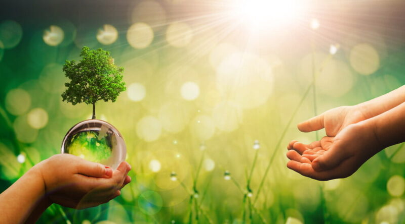 Seniors Are Surprising Leaders in the Sustainability Movement While ...