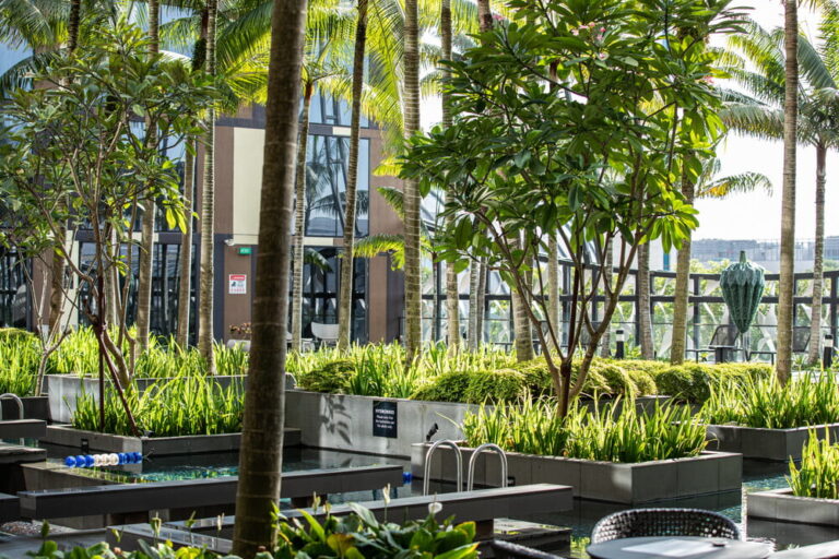 6 Ways that More Hotels Are Embracing Sustainability in South Africa