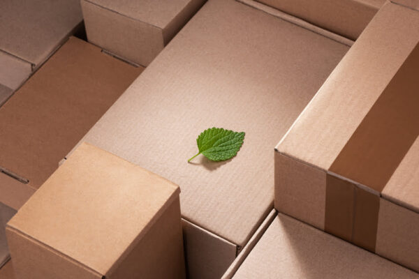 6 Ways To Make Your Shipping Process Sustainable