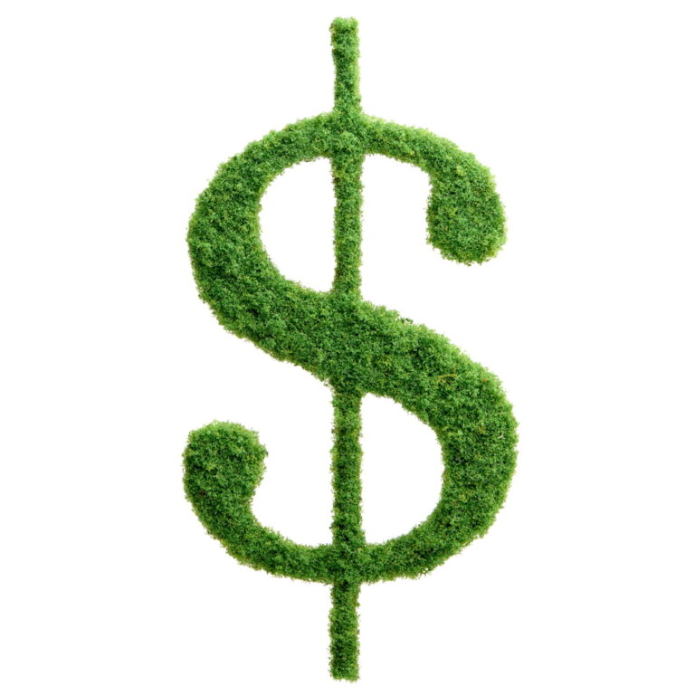 The Top 10 Ways To Recycle Effectively In 2020