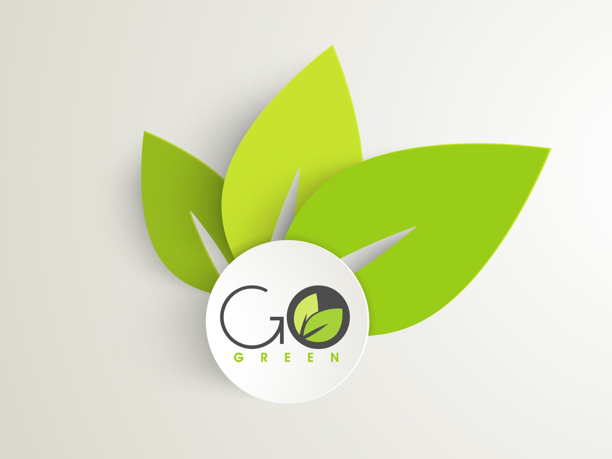 An Effective Guide to Sustainable Publishing: Everything You Need to Know