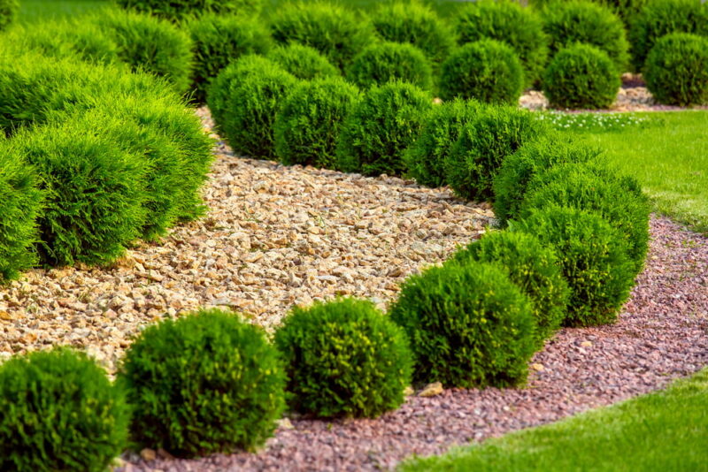 Tried and True Eco-Friendly Landscaping Techniques to Practice