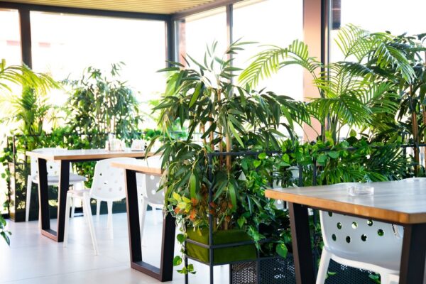 How To Make Your Restaurant More Environmentally Friendly