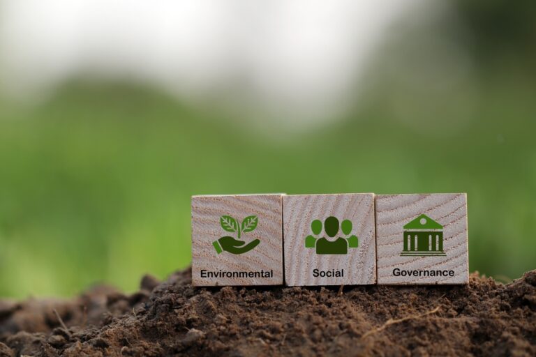 Why ESG Is Growing At Such A Rapid Rate And How Your Business Can Keep Up