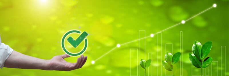 Everything You Need to Know About Developing an Environmental ...