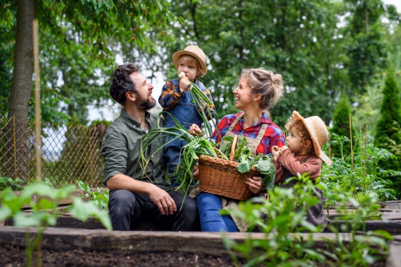 How to Design a Backyard Garden with Sustainability in Mind