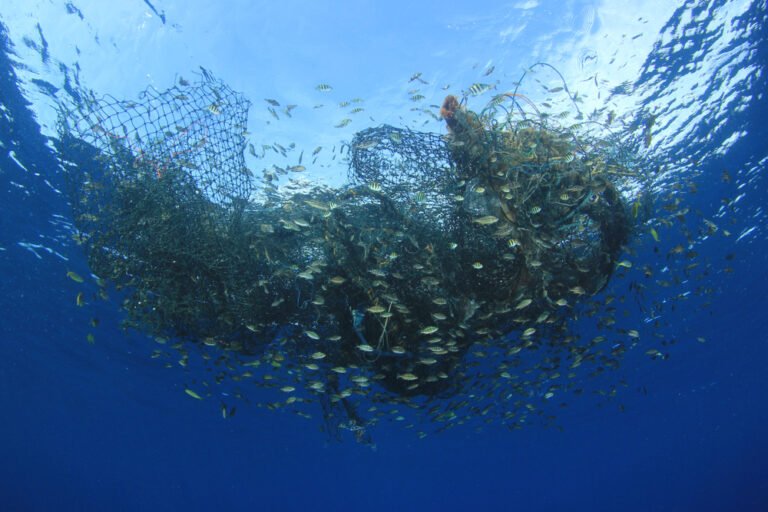 How Are Sustainable Fishing Practices Evolving?